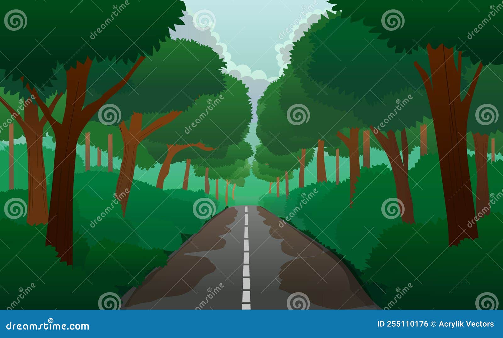 Paved Road in the Forest Vector Illustration Stock Vector ...