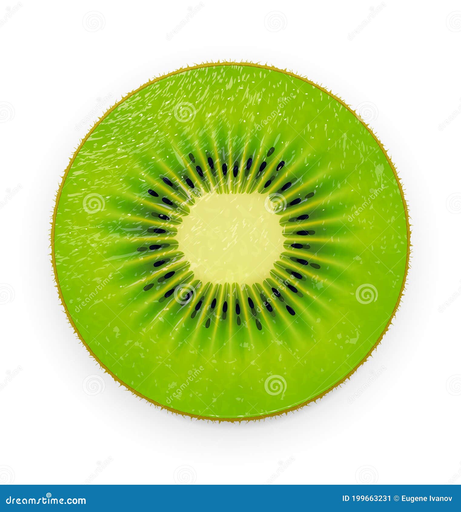 Kiwi slice stock vector. Illustration of nutrition, fresh - 199663231