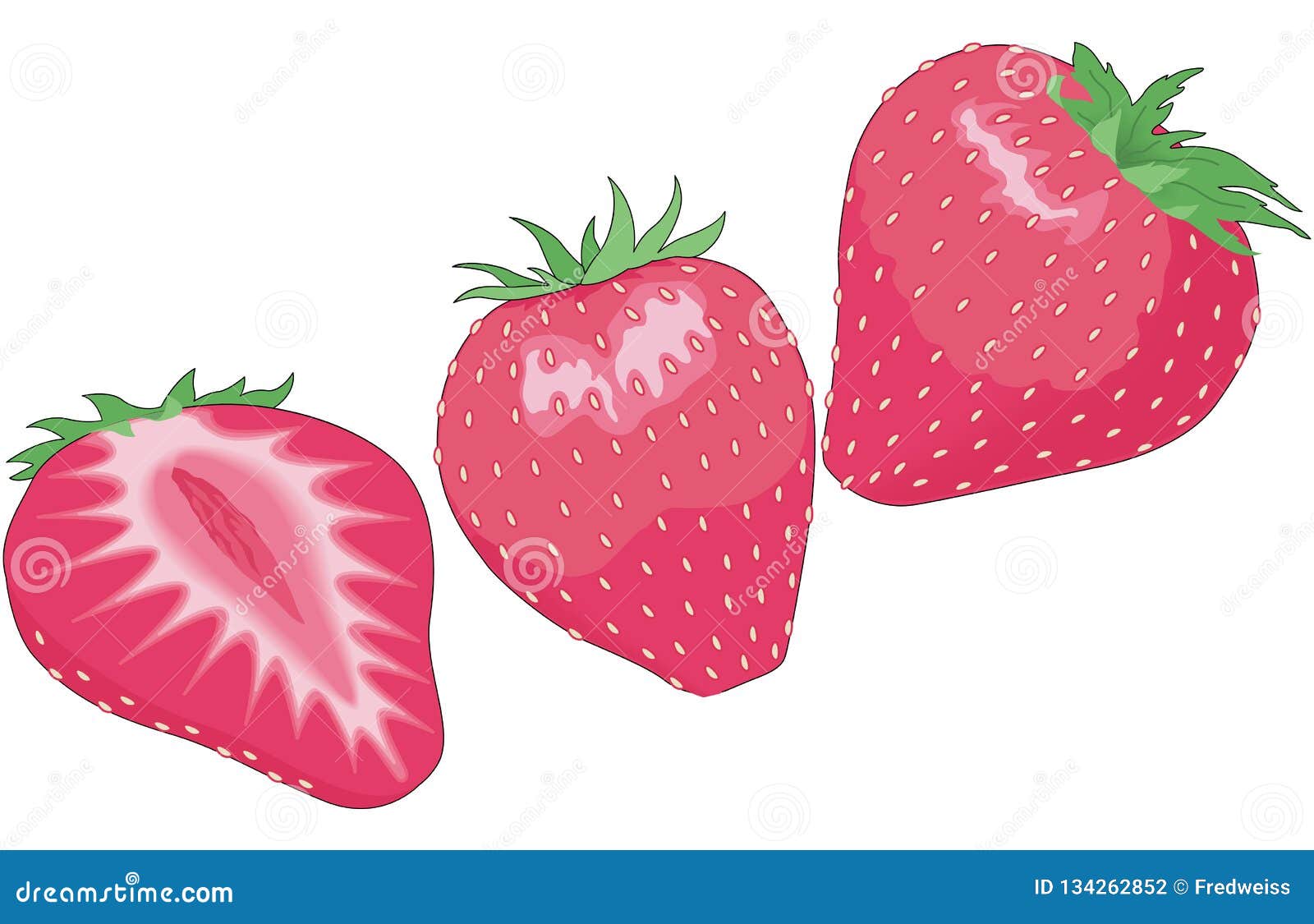 Strawberries Vector Illustration Stock Vector - Illustration of healthy ...