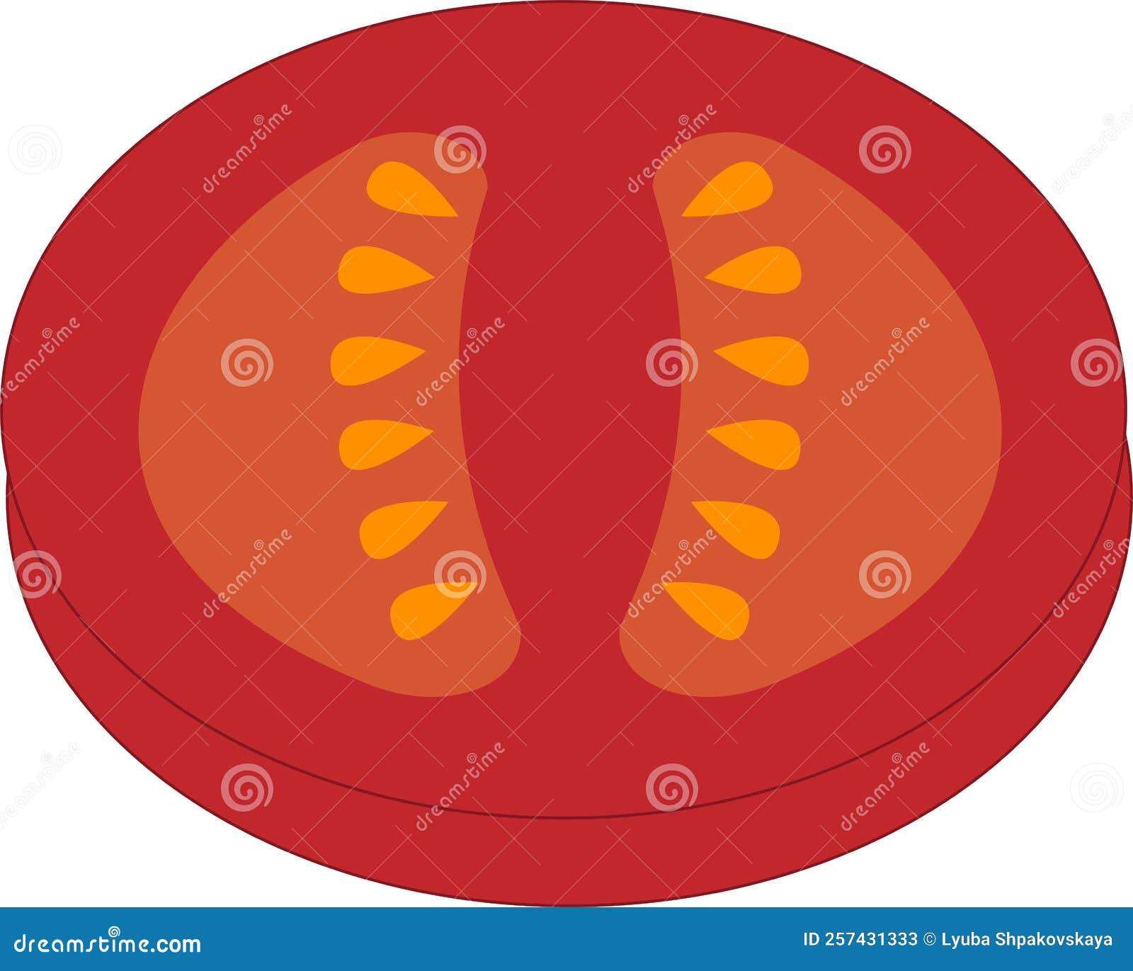 Vector Illustration of Fresh Tomato. Red Slice of Vegetable Stock ...
