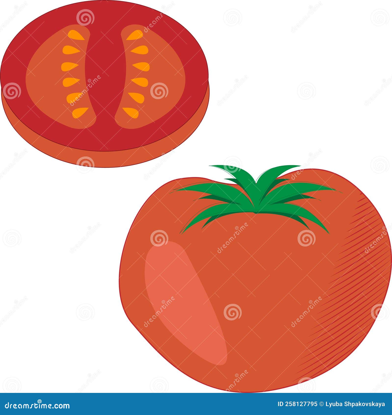 Vector Illustration of Fresh Tomato. Set of Two Red Vegetables Stock ...