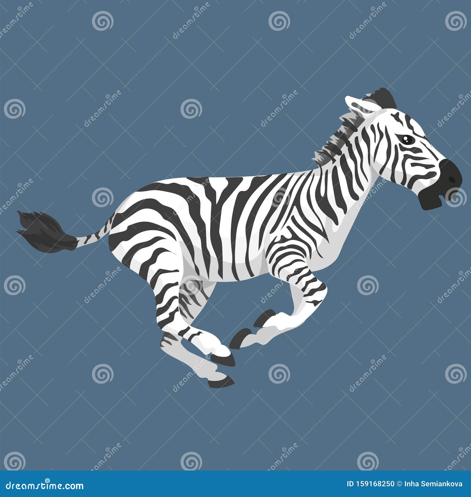 Vector Illustration of Fright Zebra Run Isolated Stock Vector ...