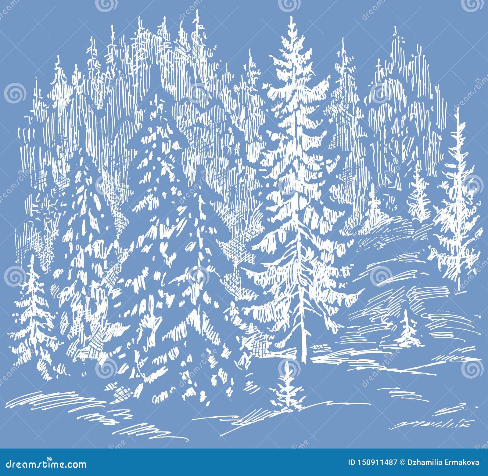 Vector Illustration of Frozen Fir Forest in December Stock Vector ...
