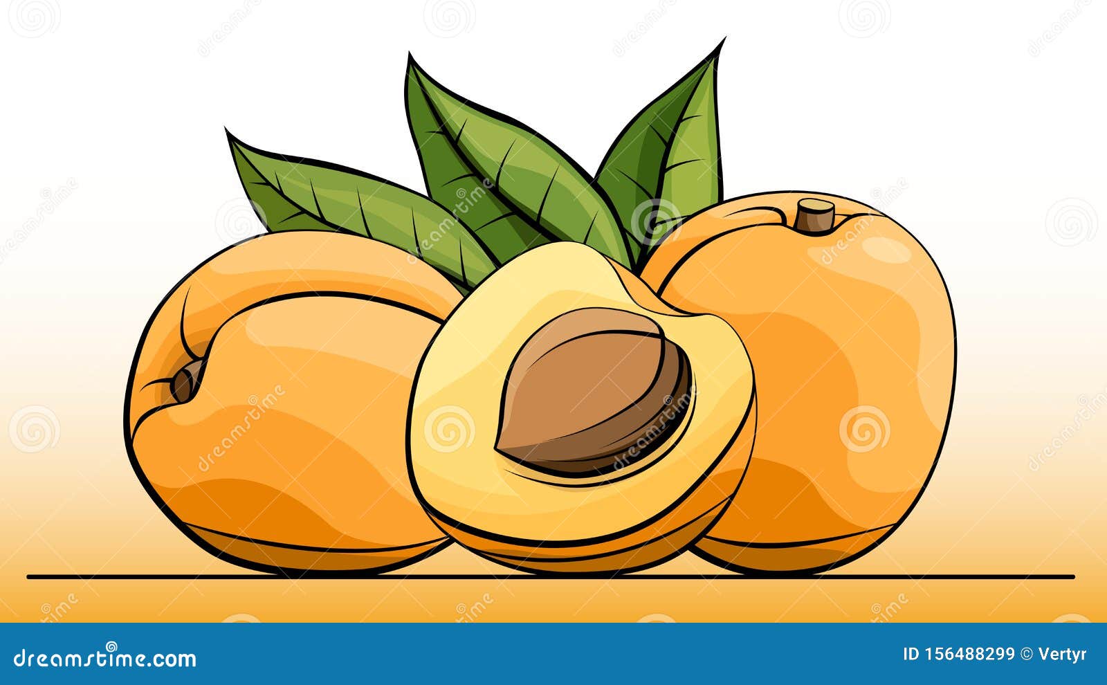 Vector Illustration of Fruit Apricots on Line. Stock Vector ...