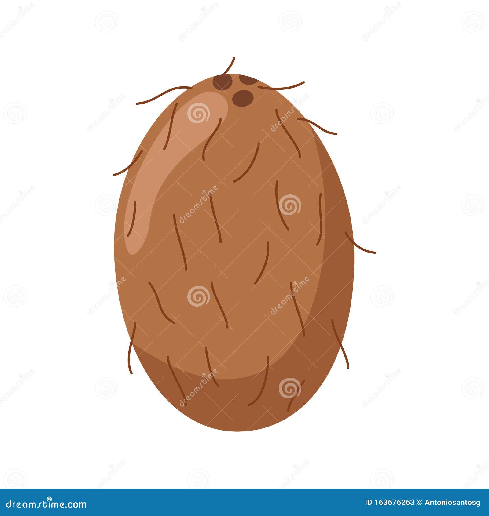Vector Illustration Of A Funny Coconut In Cartoon Style | CartoonDealer ...