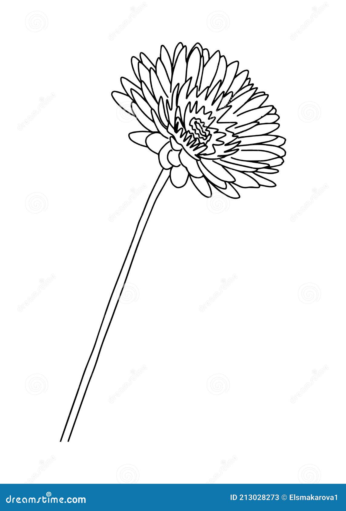 Vector Illustration of a Gerbera. Doodle Style Stock Vector ...
