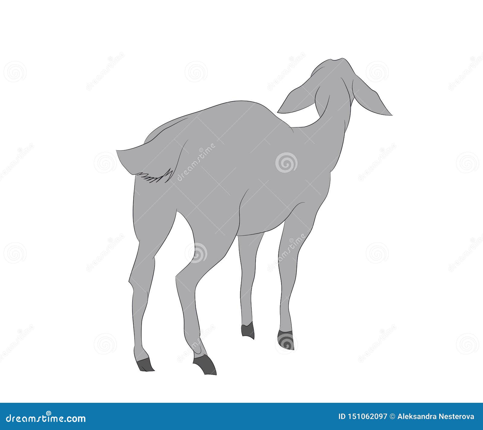 Vector Illustration of a Goat that Stands, Drawing Color Stock Vector ...