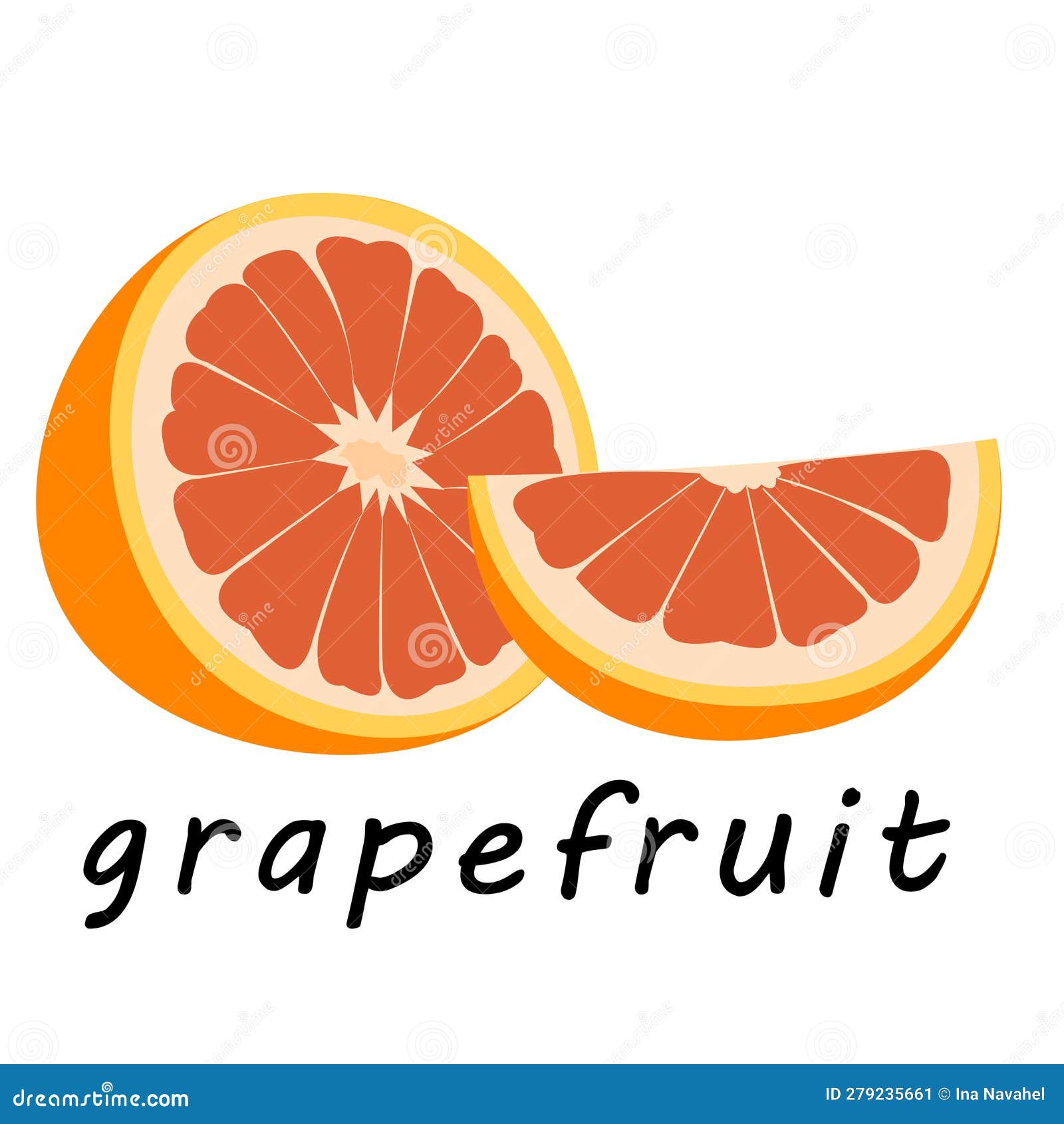 Vector Illustration of a Grapefruit. Lines Art Tropical Fruit Stock ...