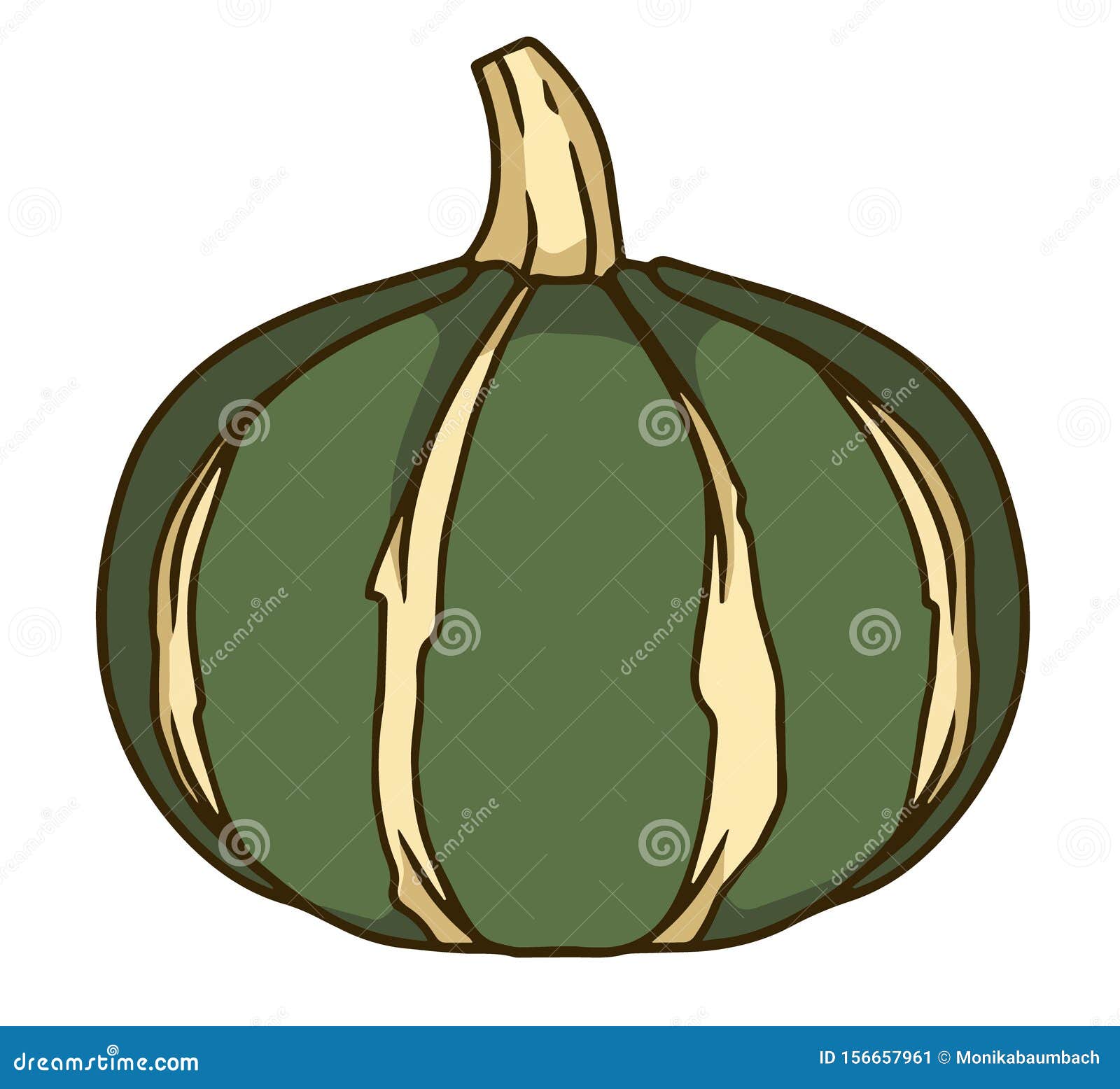 Vector Illustration of Green Buttercup Squash Stock Illustration ...
