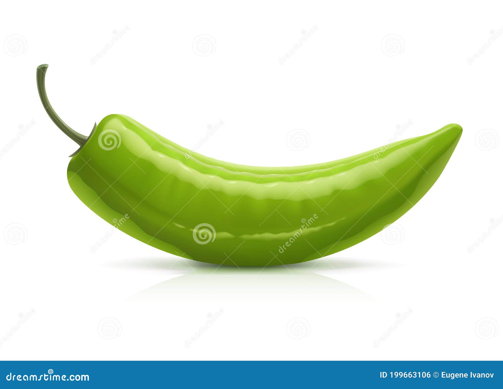 Green Pepper stock vector. Illustration of realistic - 199663106