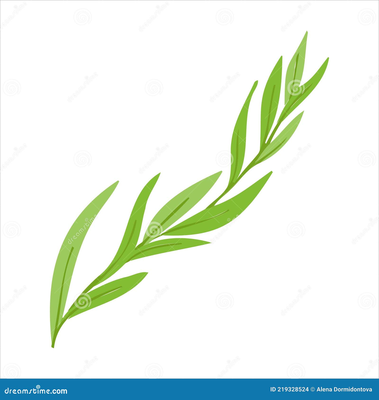 Vector Illustration with a Green Sprig. Vector of Plants in the Doodle ...
