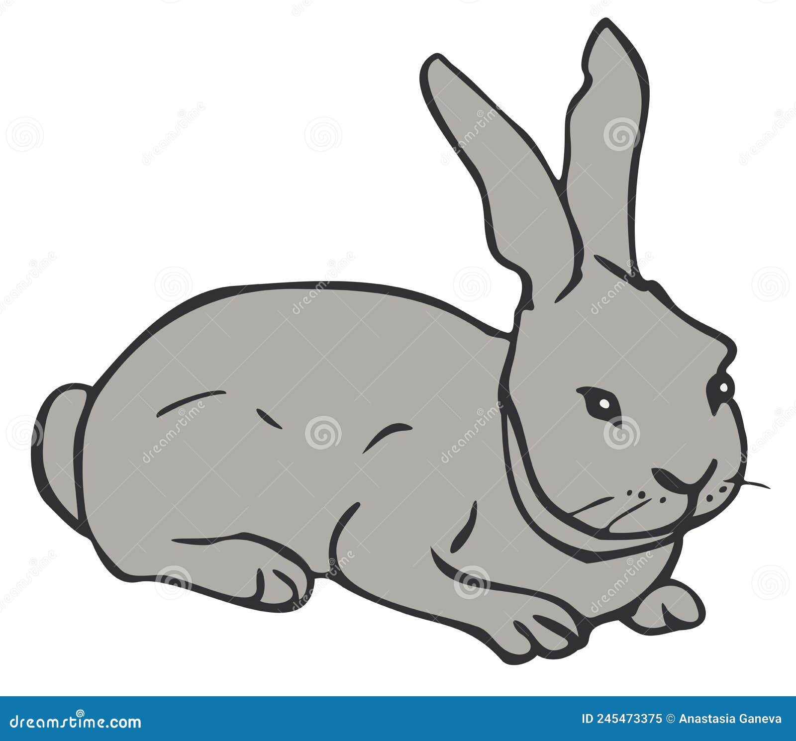 Vector Illustration of Grey Rabbit. Stock Illustration - Illustration ...