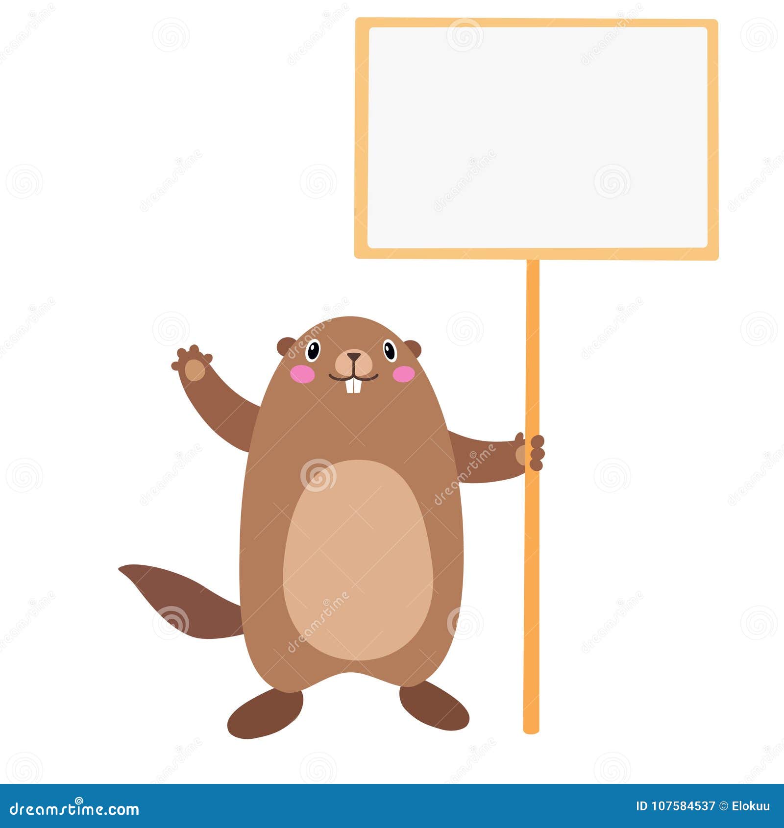 Groundhog With Placard Groundhog Day Coloring Cartoon Vector ...