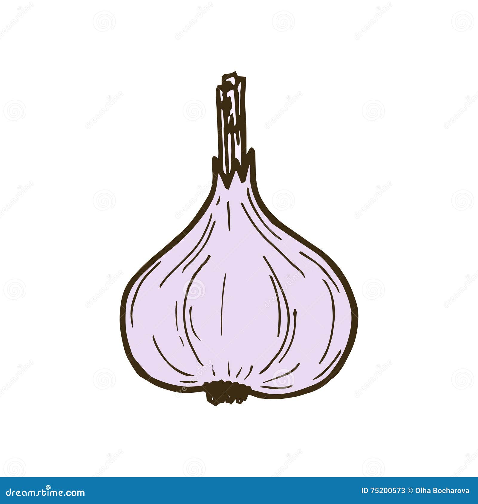 Vector Illustration of Hand Drawing Garlic. Vector Garlic Stock Vector ... Vector Illustration of Hand Drawing Garlic. Vector Garlic Stock Vector ...