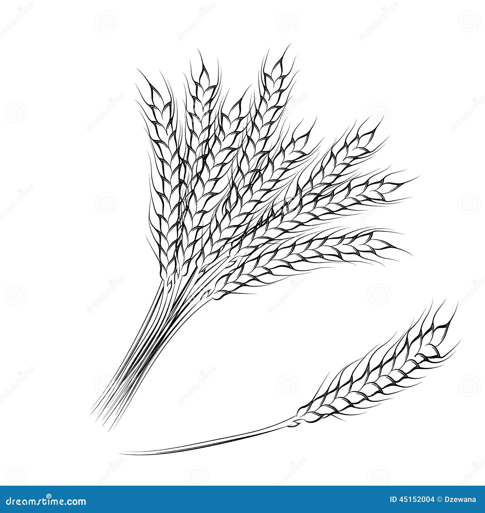 Wheat Bundle Drawing