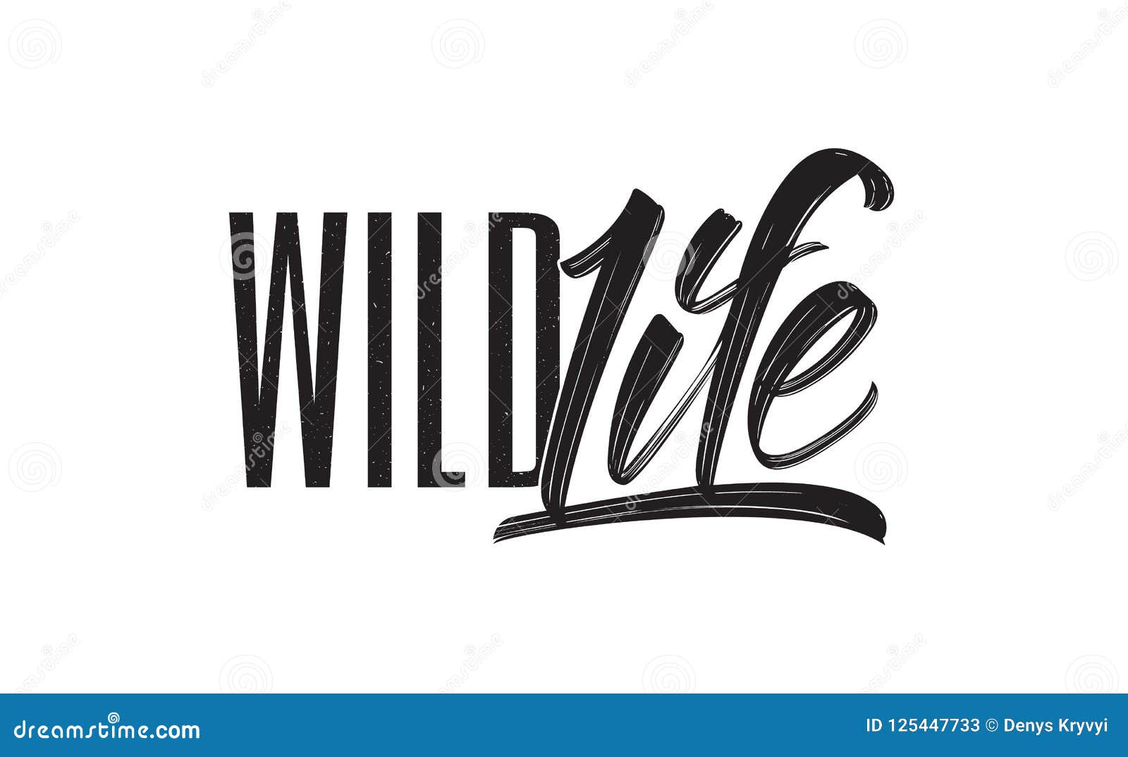 Vector Illustration: Hand Drawn Brush Type Calligraphic Lettering ...