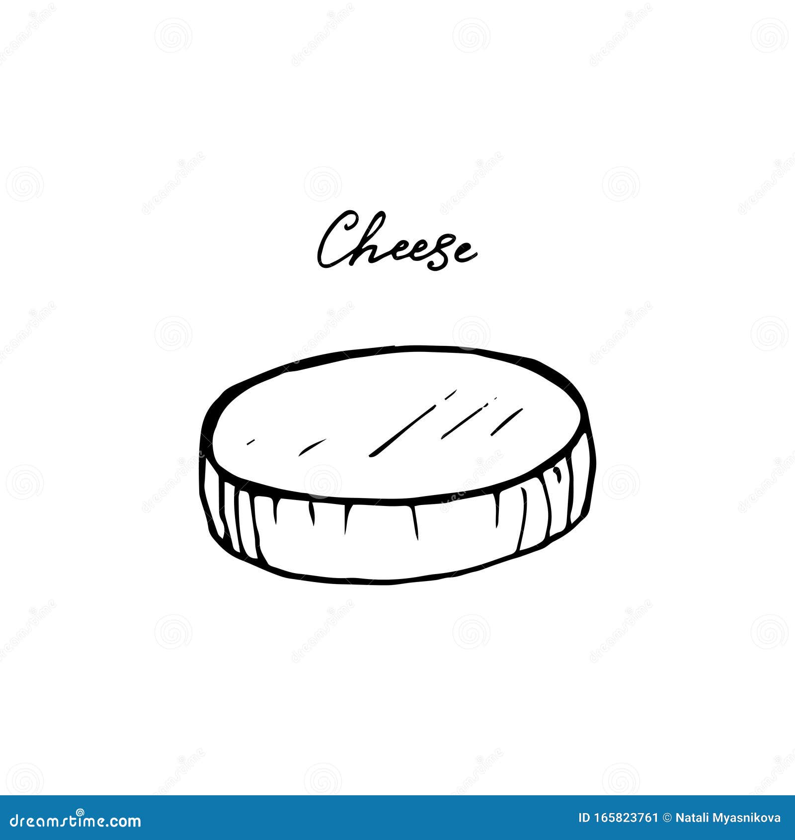 Vector Illustration of Hand Drawn Cheese. Isolated on White Background ...