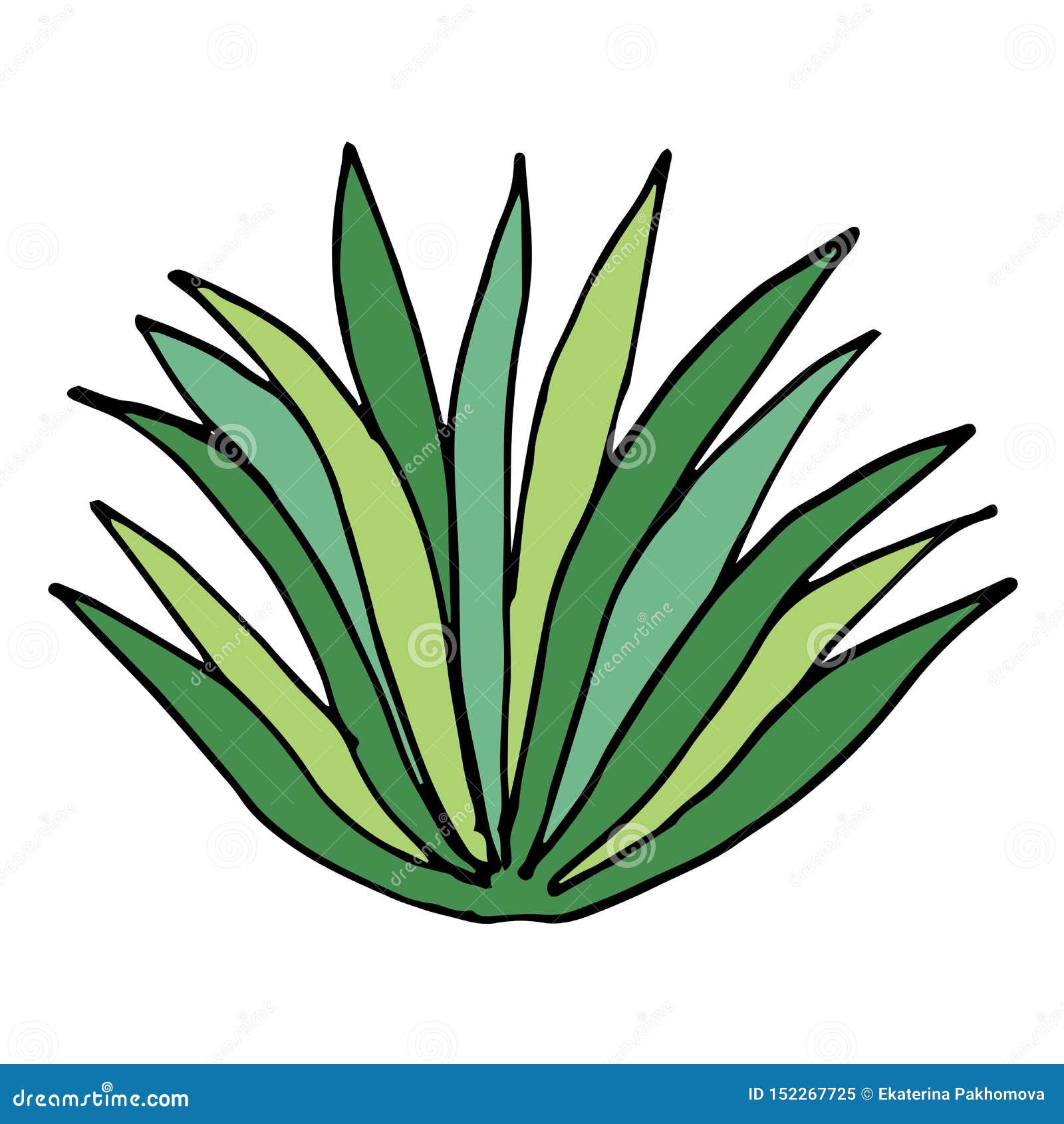 Hand Drawn Doodle Bush Isolated Stock Vector - Illustration of grass ...