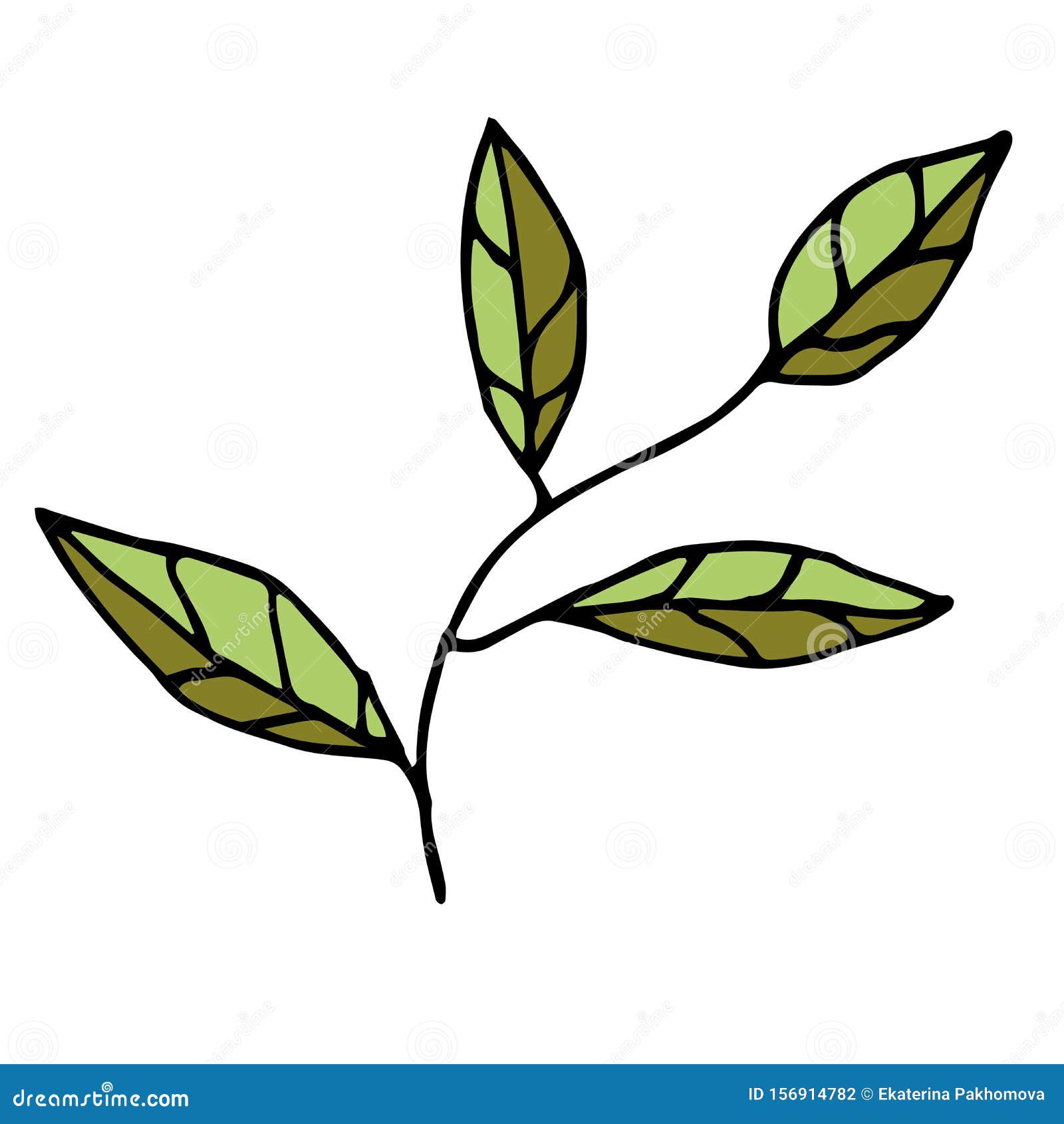 Hand Drawn Doodle Tree Branch Isolated on White Background. Floral ...