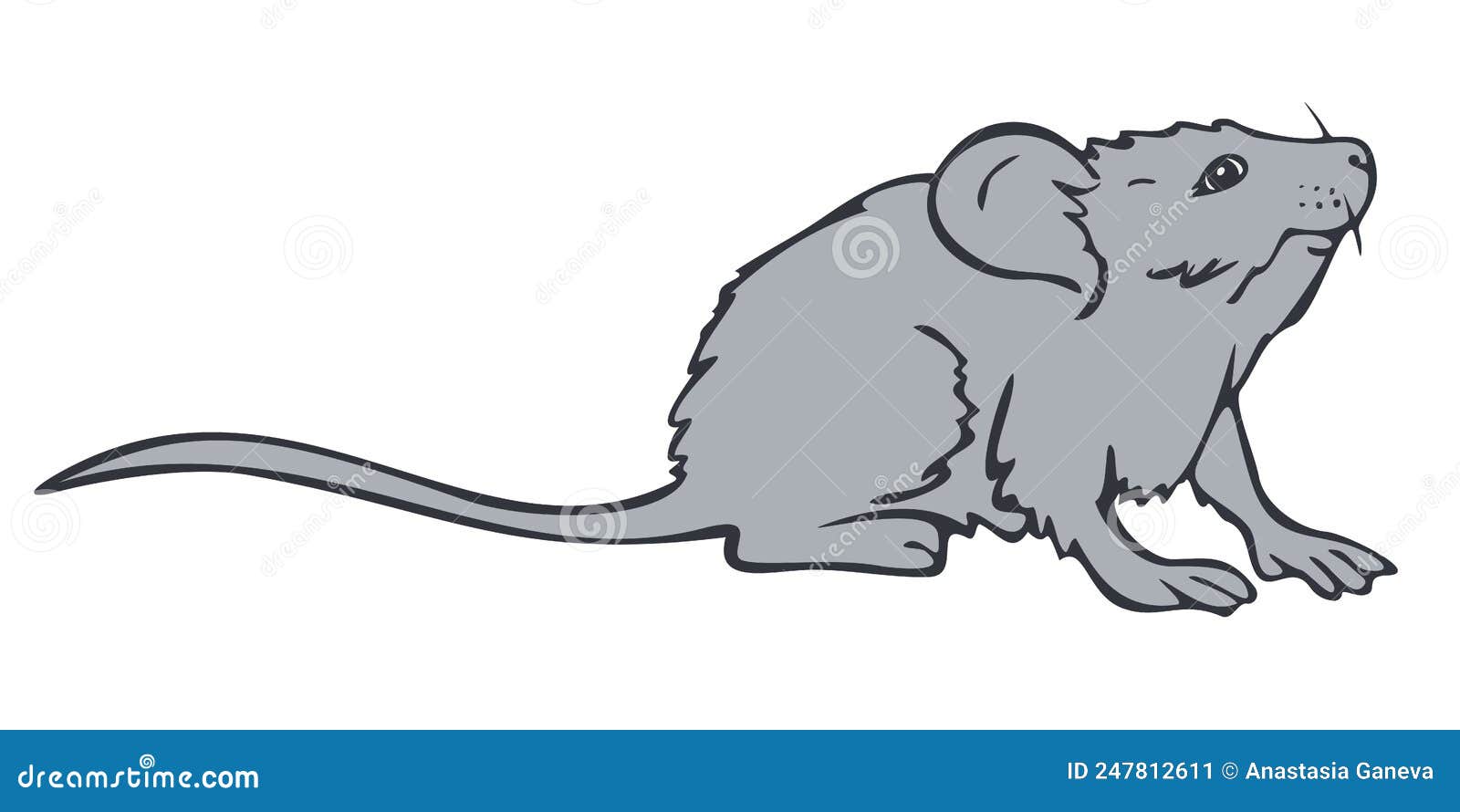Vector Illustration of Hand Drawn Mouse. Stock Illustration ...