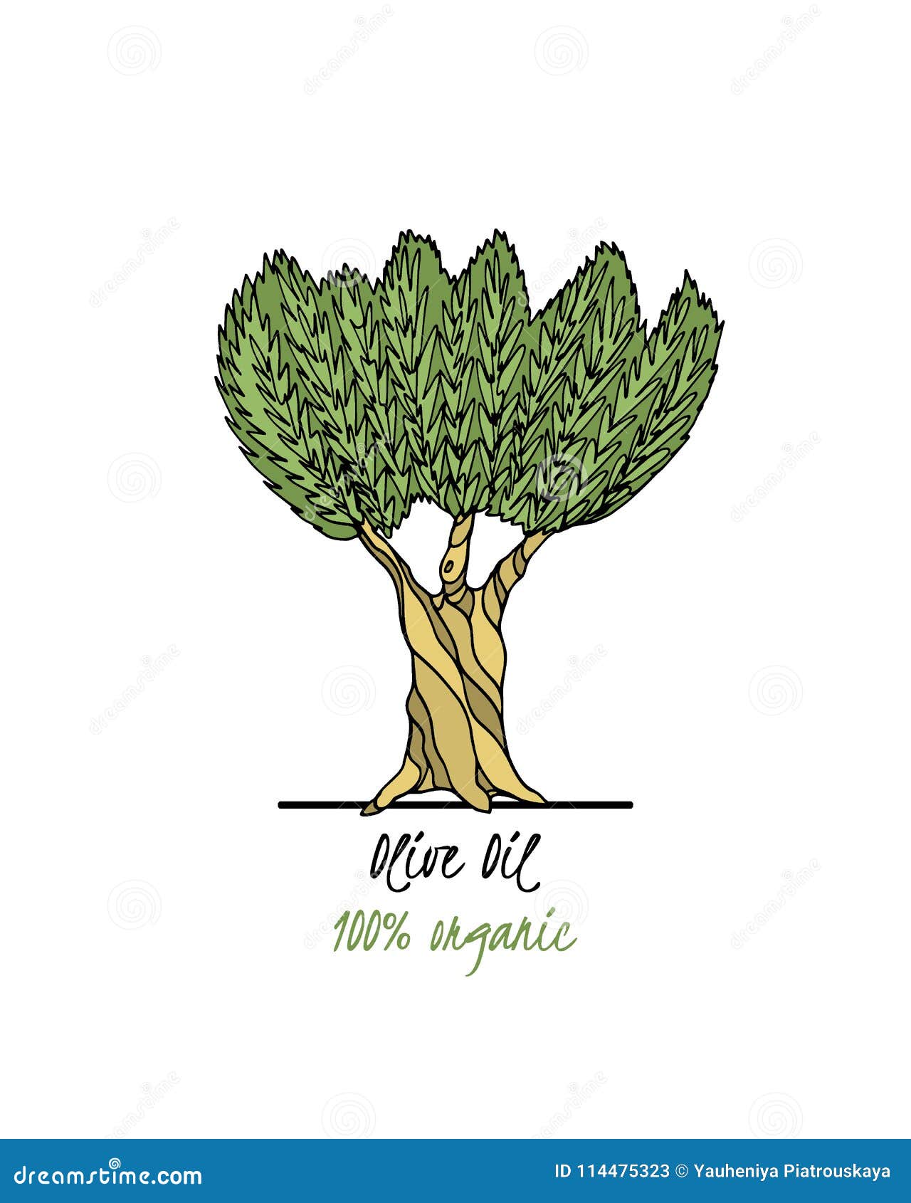Hand drawn olive tree stock vector. Illustration of banner - 114475323