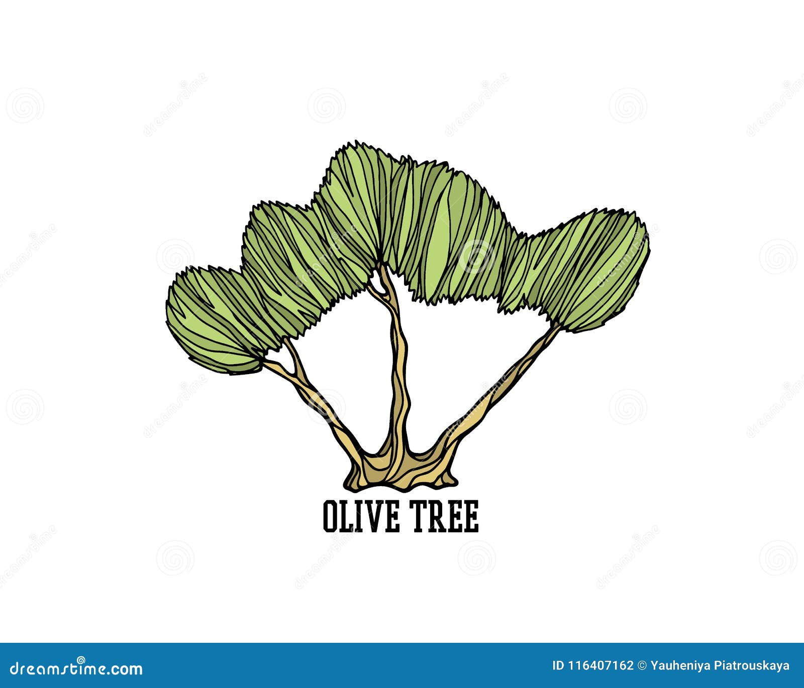 Hand drawn olive tree stock vector. Illustration of element - 116407162