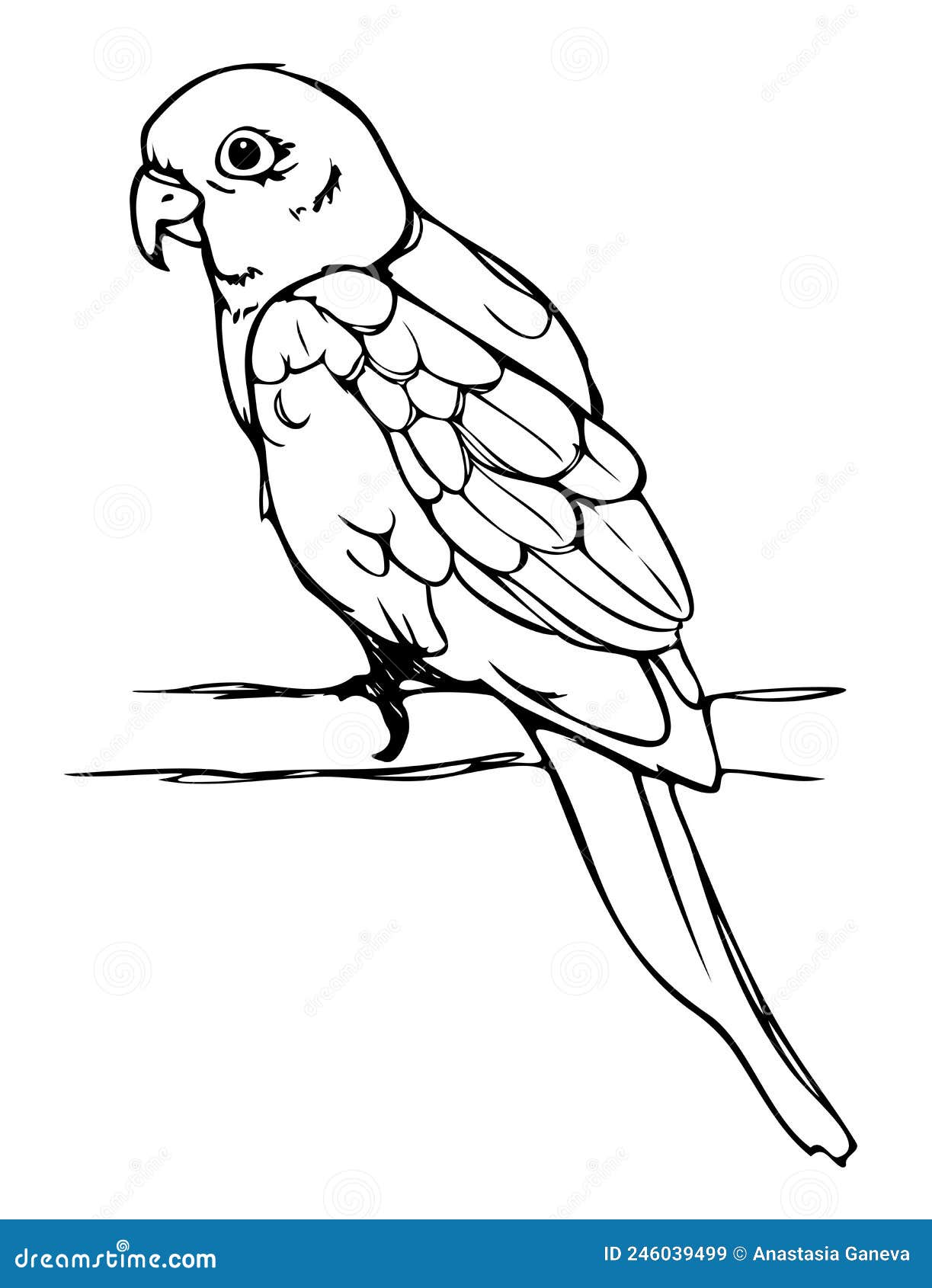 Vector Illustration of Hand Drawn Parrot. Stock Vector - Illustration ...
