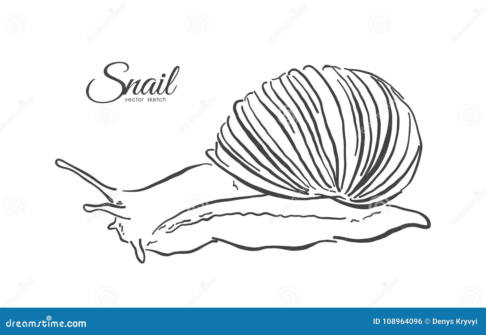 Vector Illustration: Hand Drawn Sketch of Snail Stock Vector ...