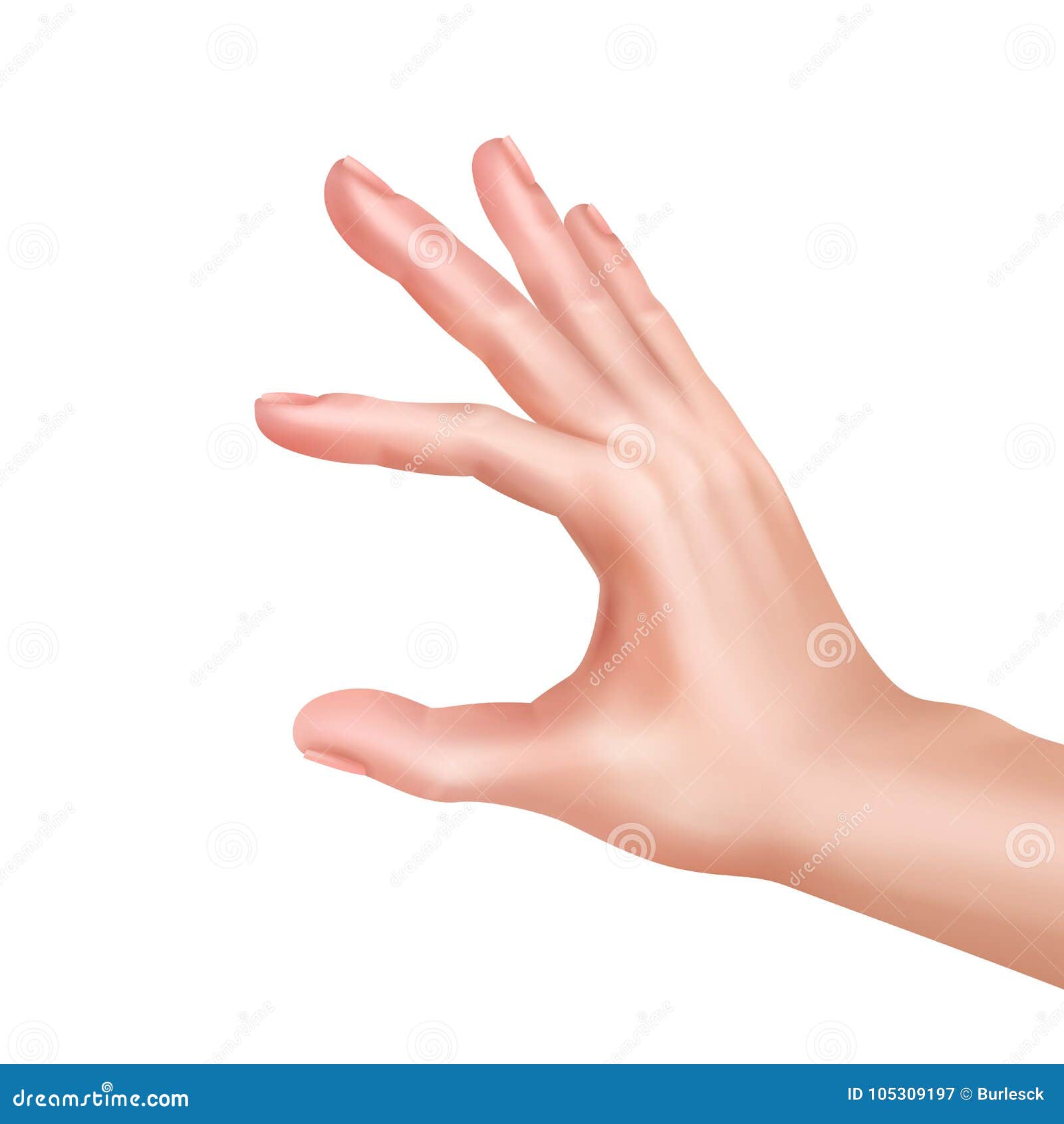 Gesture right hand stock vector. Illustration of skin - 105309197