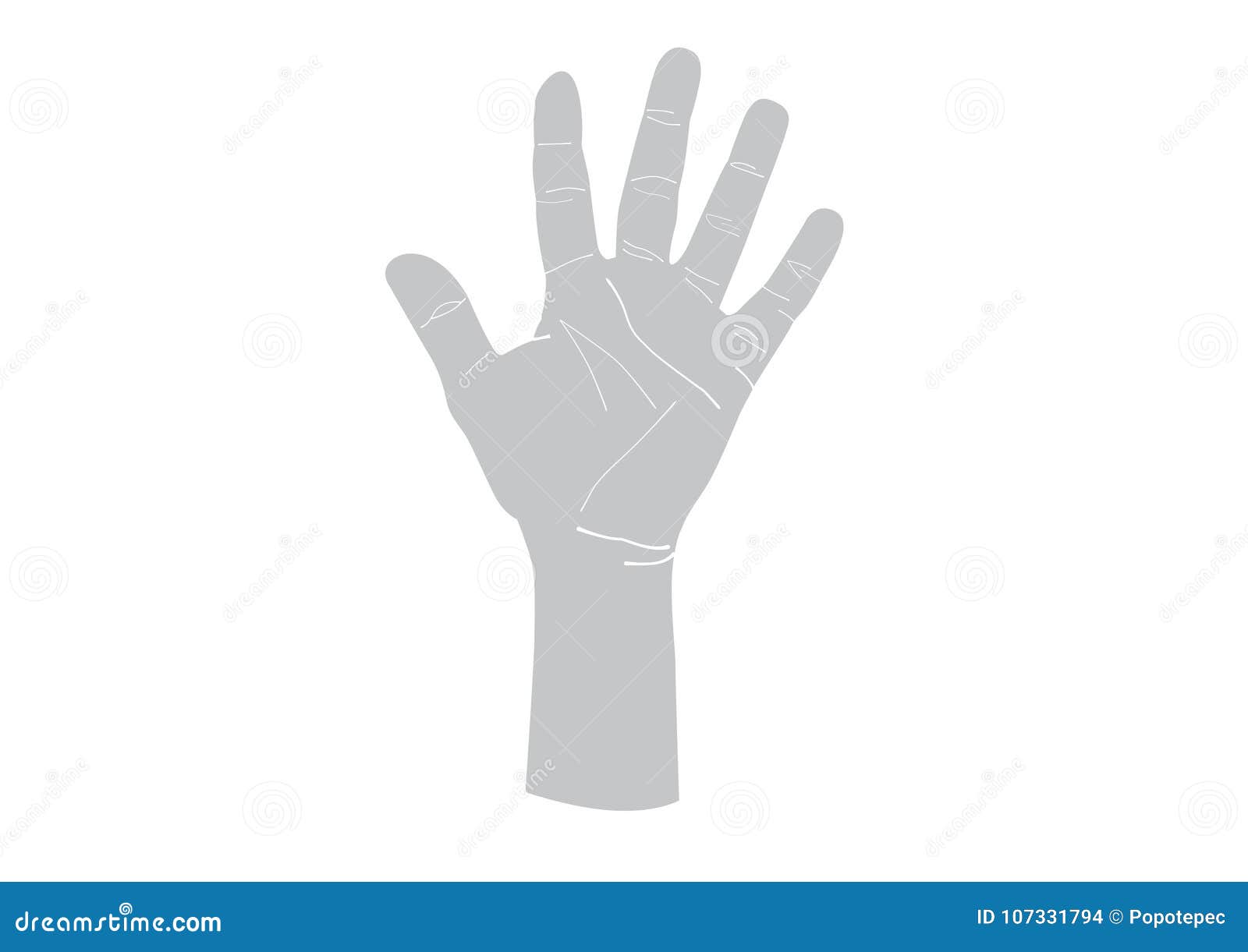 Vector Illustration of Hand Palm Isolated. Stock Vector - Illustration ...