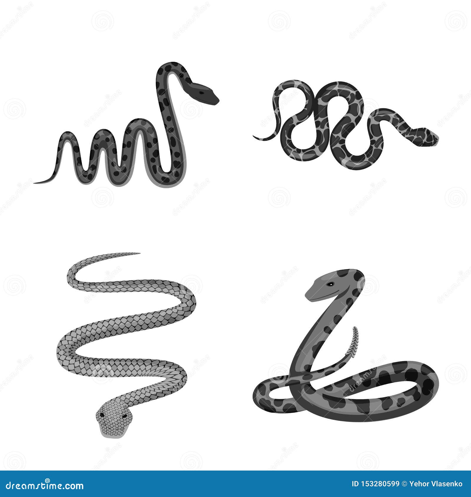 Vector Illustration of Harm and Bite Symbol. Set of Harm and Reptile ...