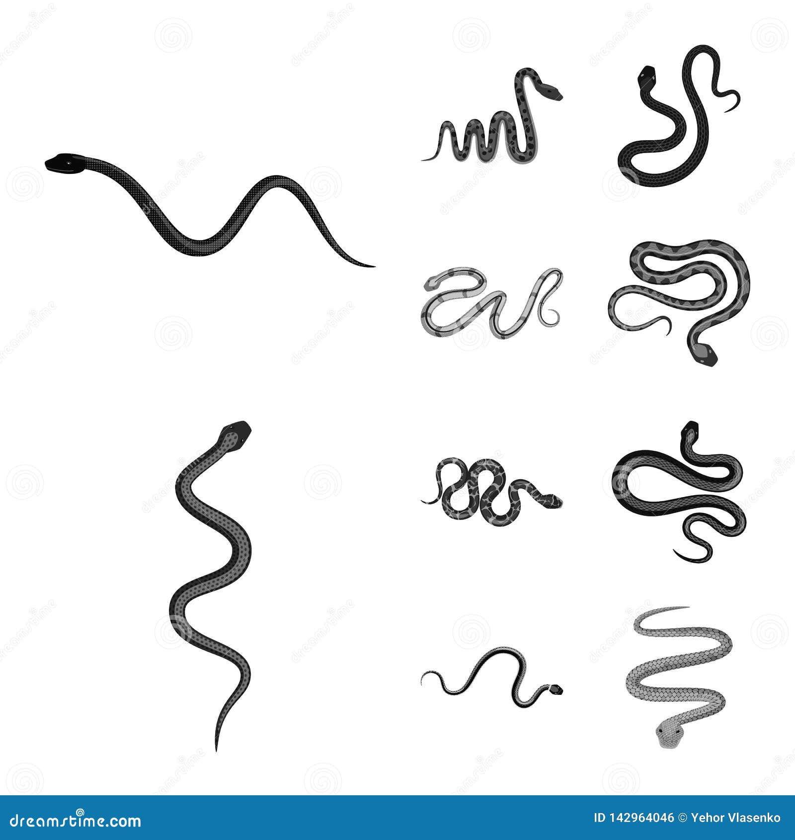 Vector Illustration of Harm and Bite Symbol. Set of Harm and Reptile ...
