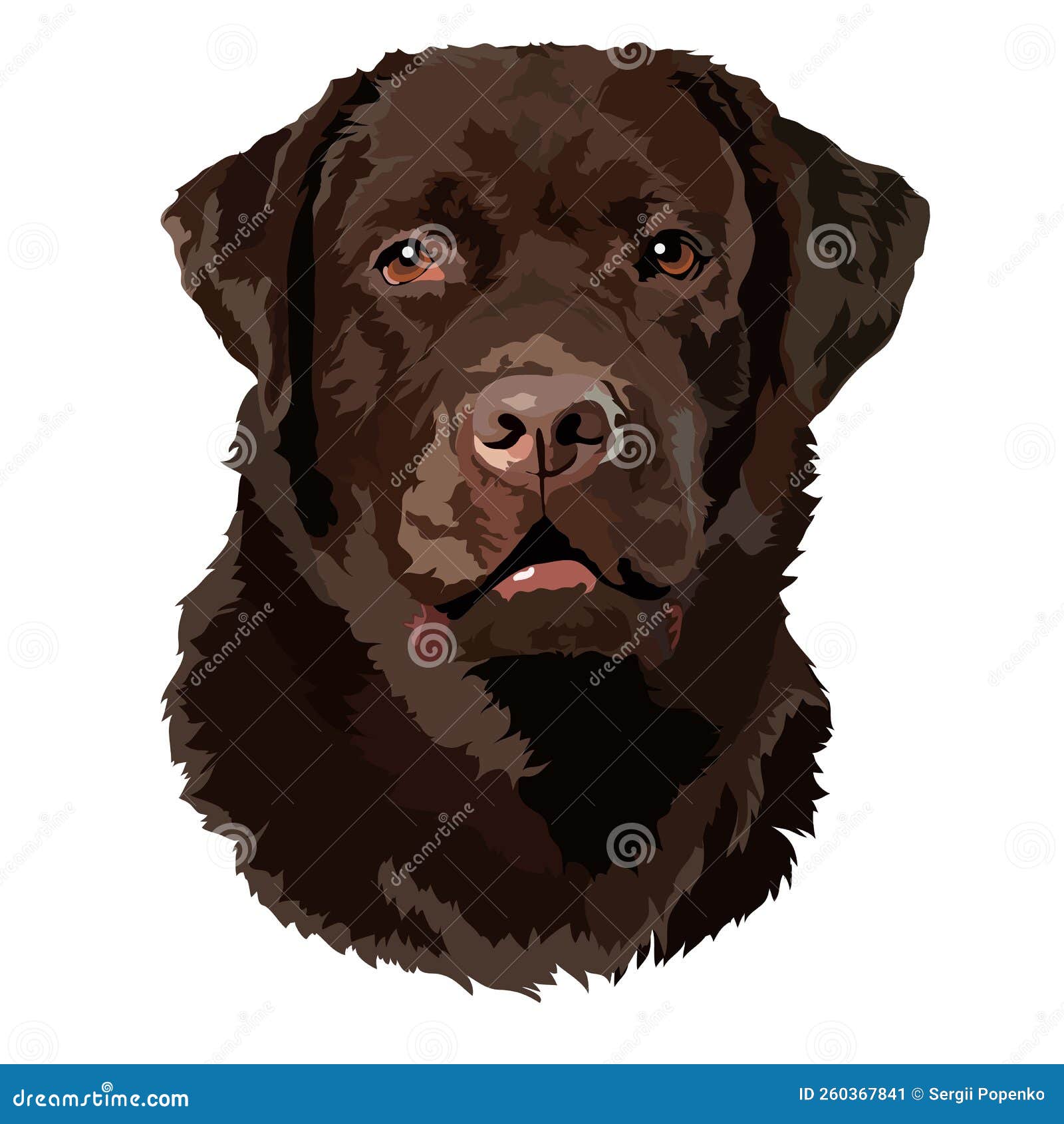 Vector Illustration of the Head of a Labrador Retriever. Portrait on a ...