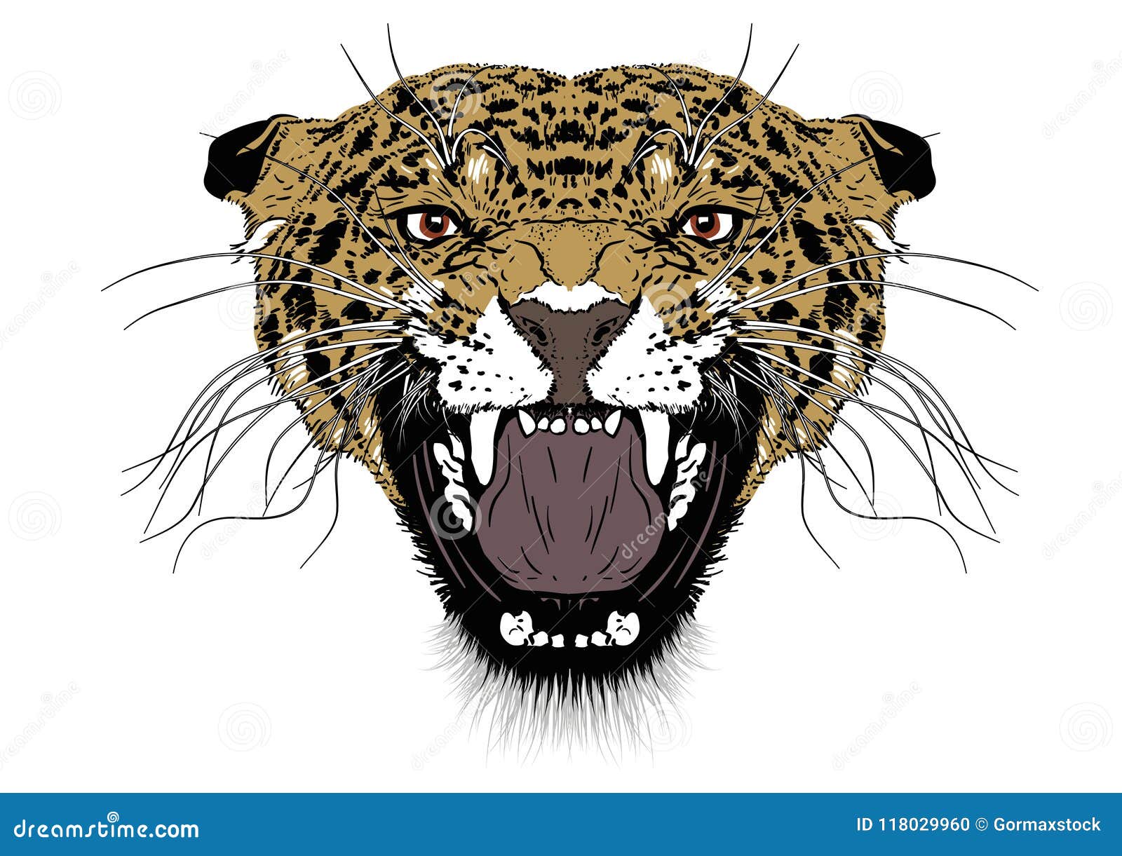 Vector Illustration of the Head of a Leopard Stock Vector ...
