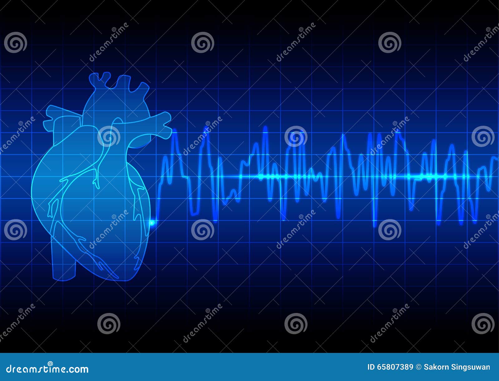 3d Illustration Of Heart Strings Tendons, Inside The Human Heart Stock ...