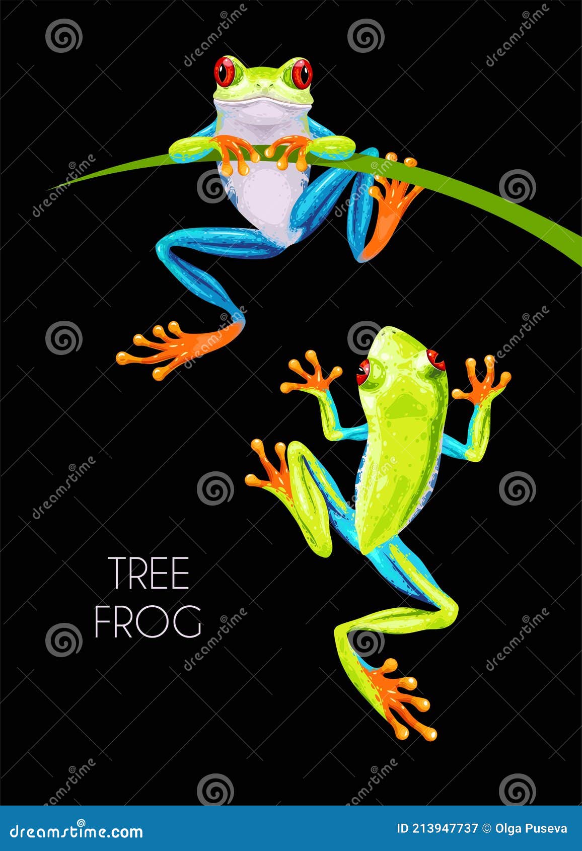 Vector Illustration of High Detailed Tree Frog Stock Vector ...