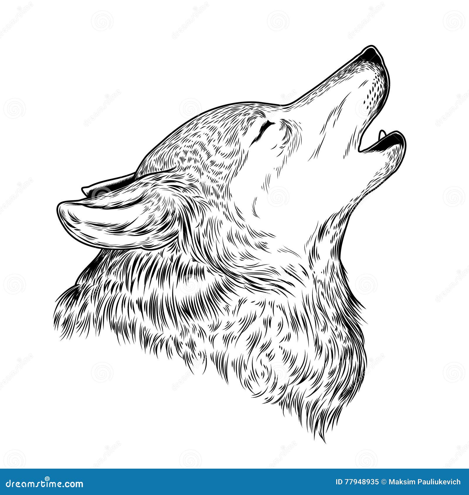 Vector Illustration of a Howling Wolf Stock Vector - Illustration of ...