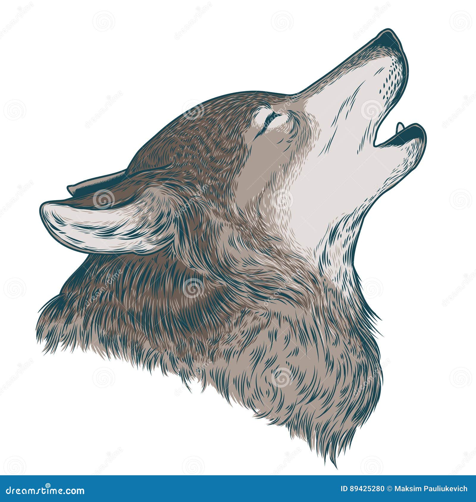 Vector Illustration Of A Howling Wolf | CartoonDealer.com #89425280