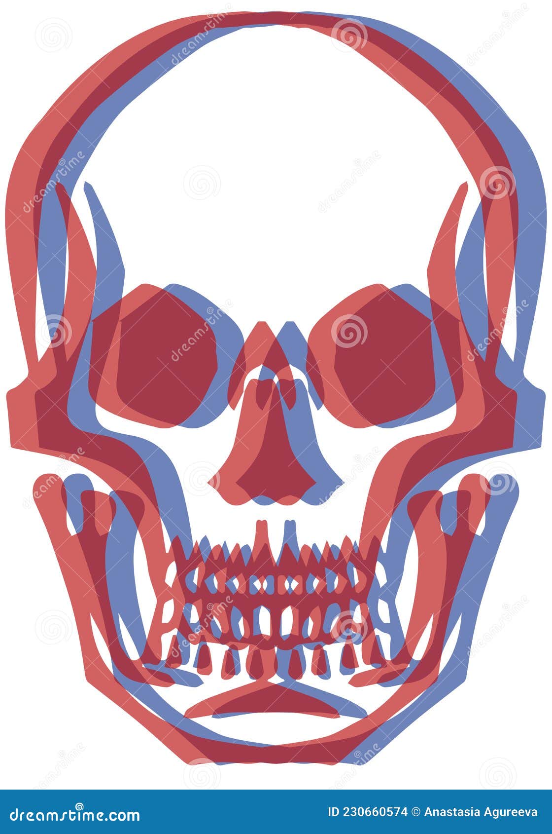 Vector Illustration of Human Blue and Red Skull Stock Vector ...