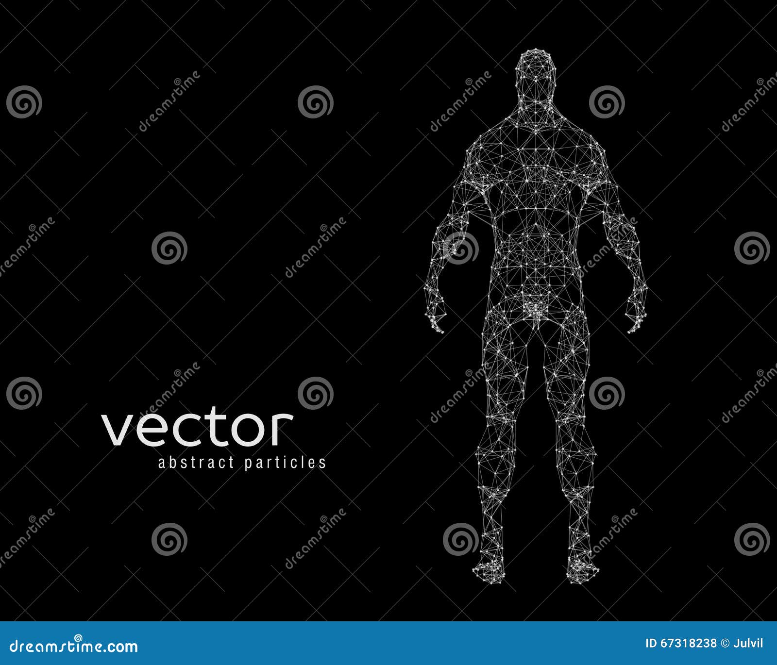 Vector Illustration of Human Body Stock Vector - Illustration of mesh ...