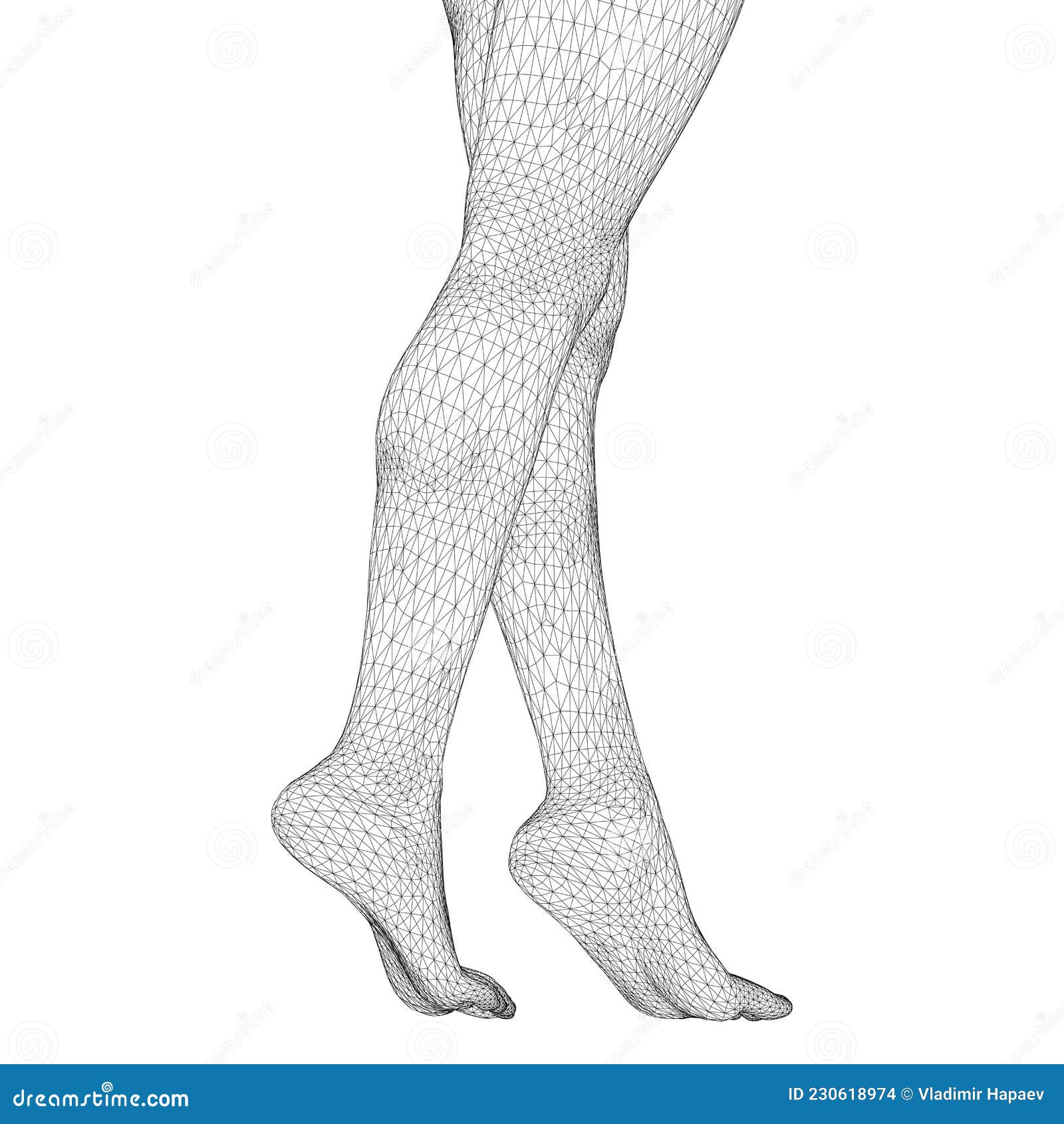 Vector Illustration of a Human Body. Female Legs in the Form of a Three ...