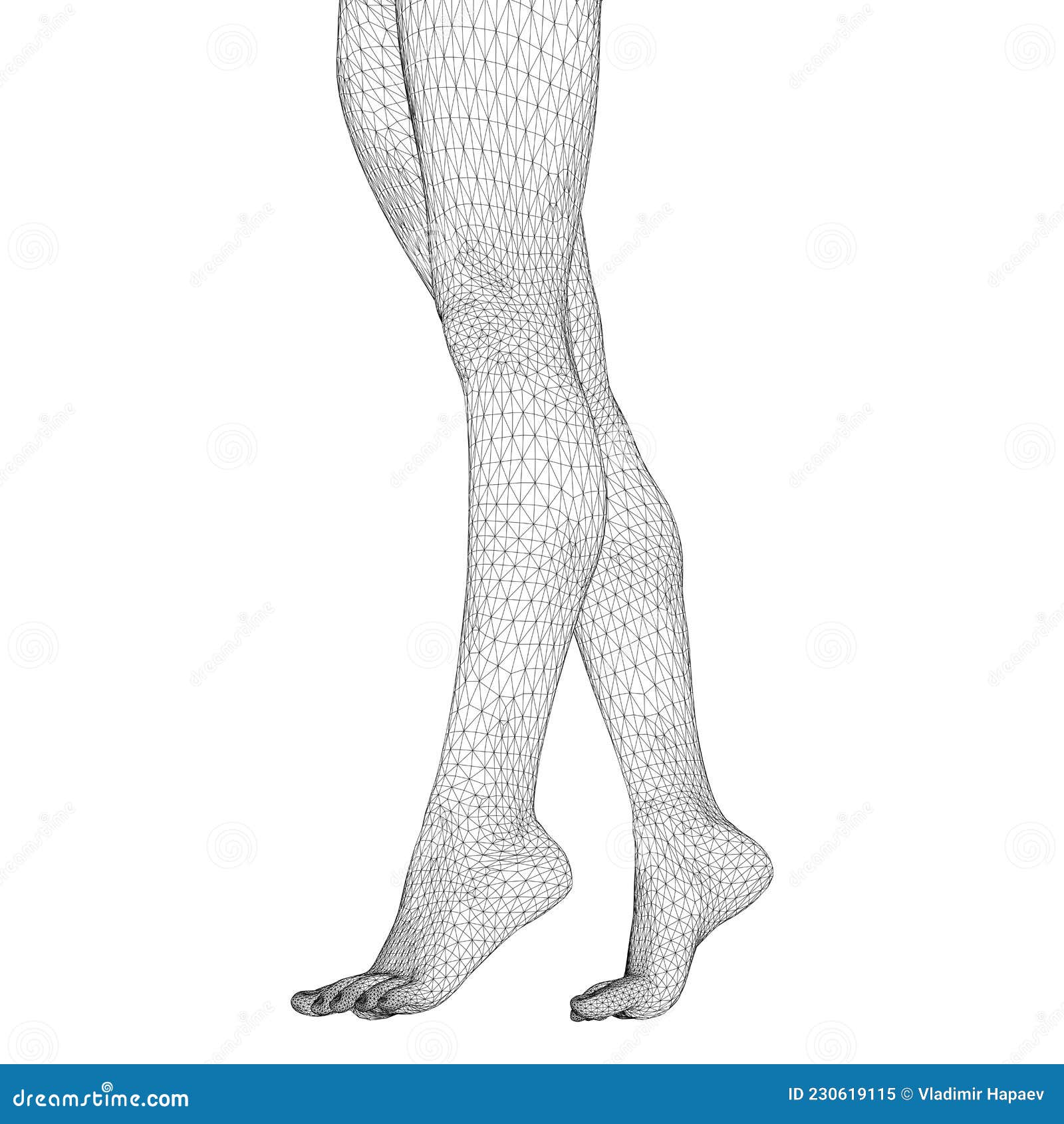 Vector Illustration of a Human Body. Female Legs in the Form of a Three ...