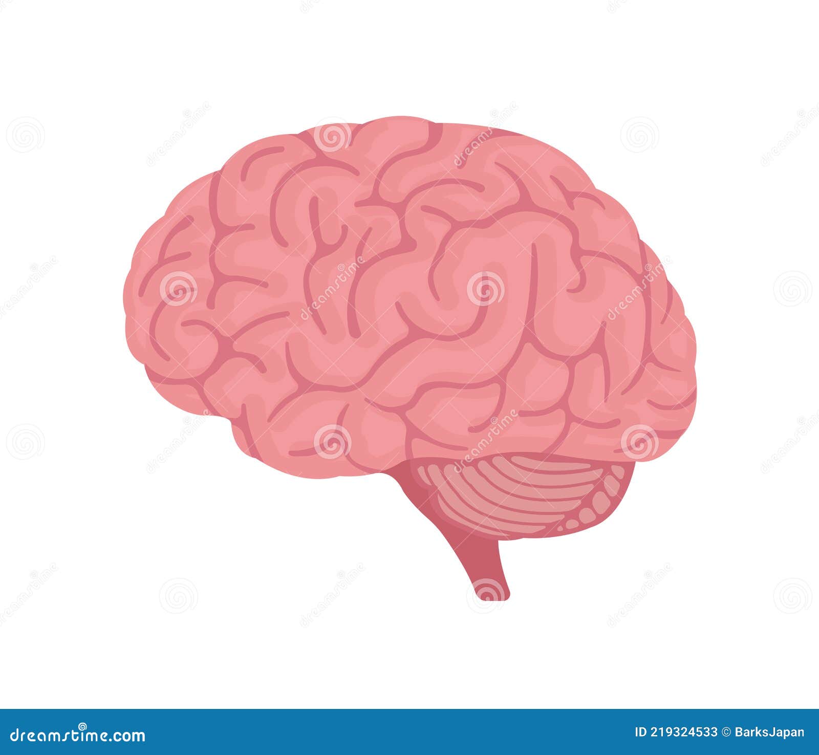 Vector Illustration of Human Brain Stock Vector - Illustration of ...