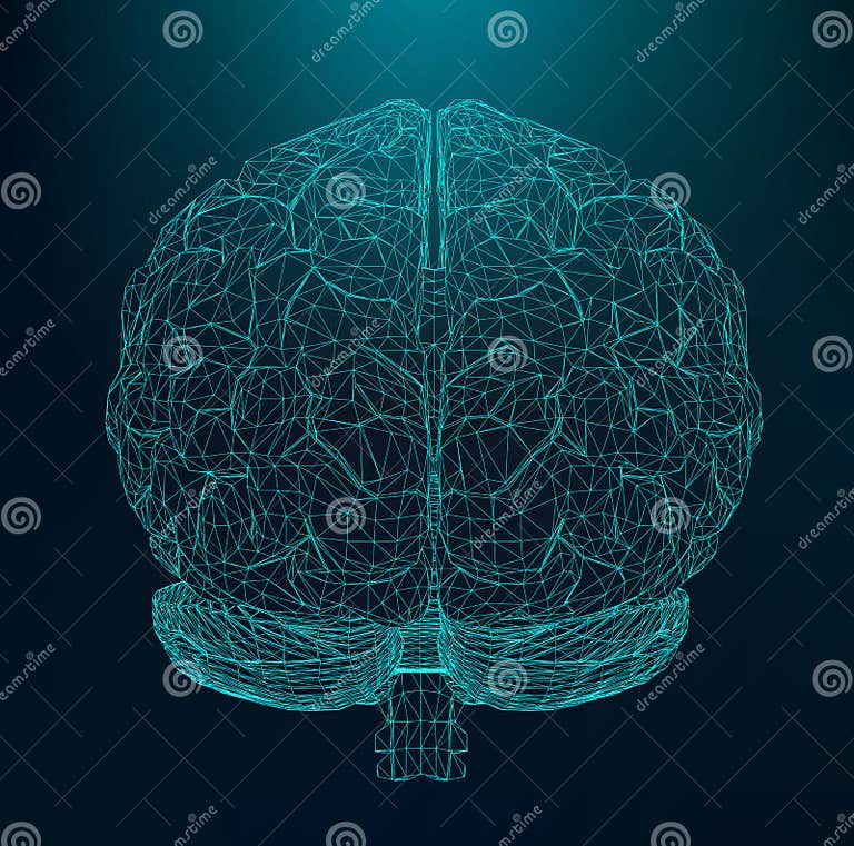 Vector Illustration Human Brain. the Structural Grid of Polygons ...
