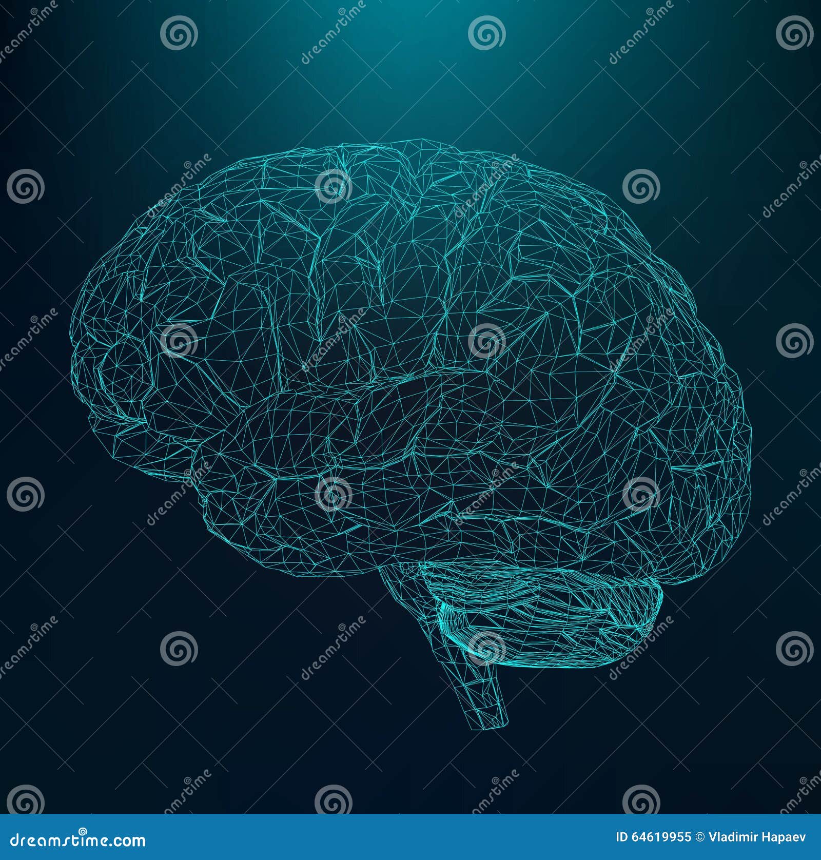 Vector Illustration Human Brain. the Structural Stock Vector ...