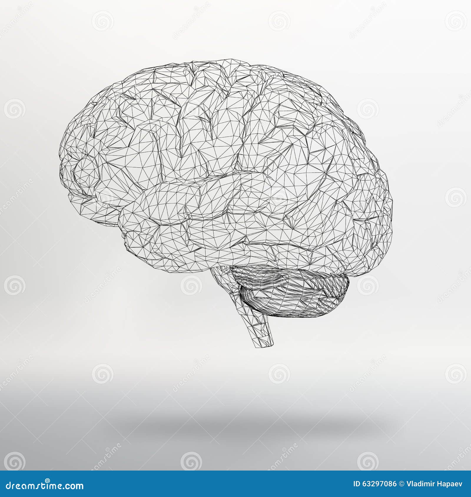 Vector Illustration Human Brain. the Structural Grid of Polygons ...
