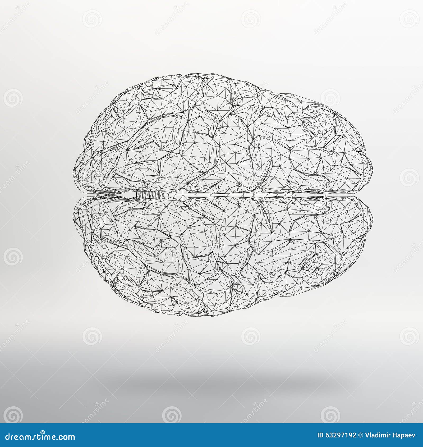 Vector Illustration Human Brain. the Structural Grid of Polygons ...