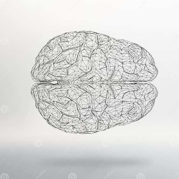 Vector Illustration Human Brain. the Structural Grid of Polygons ...
