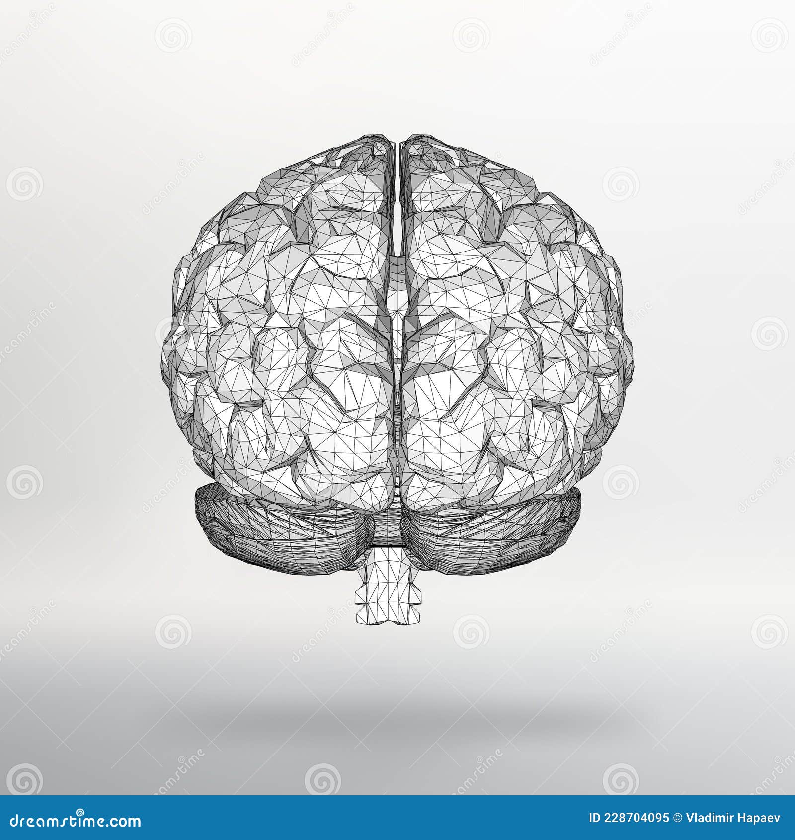 Vector Illustration Human Brain. the Structural Grid of Polygons Stock ...