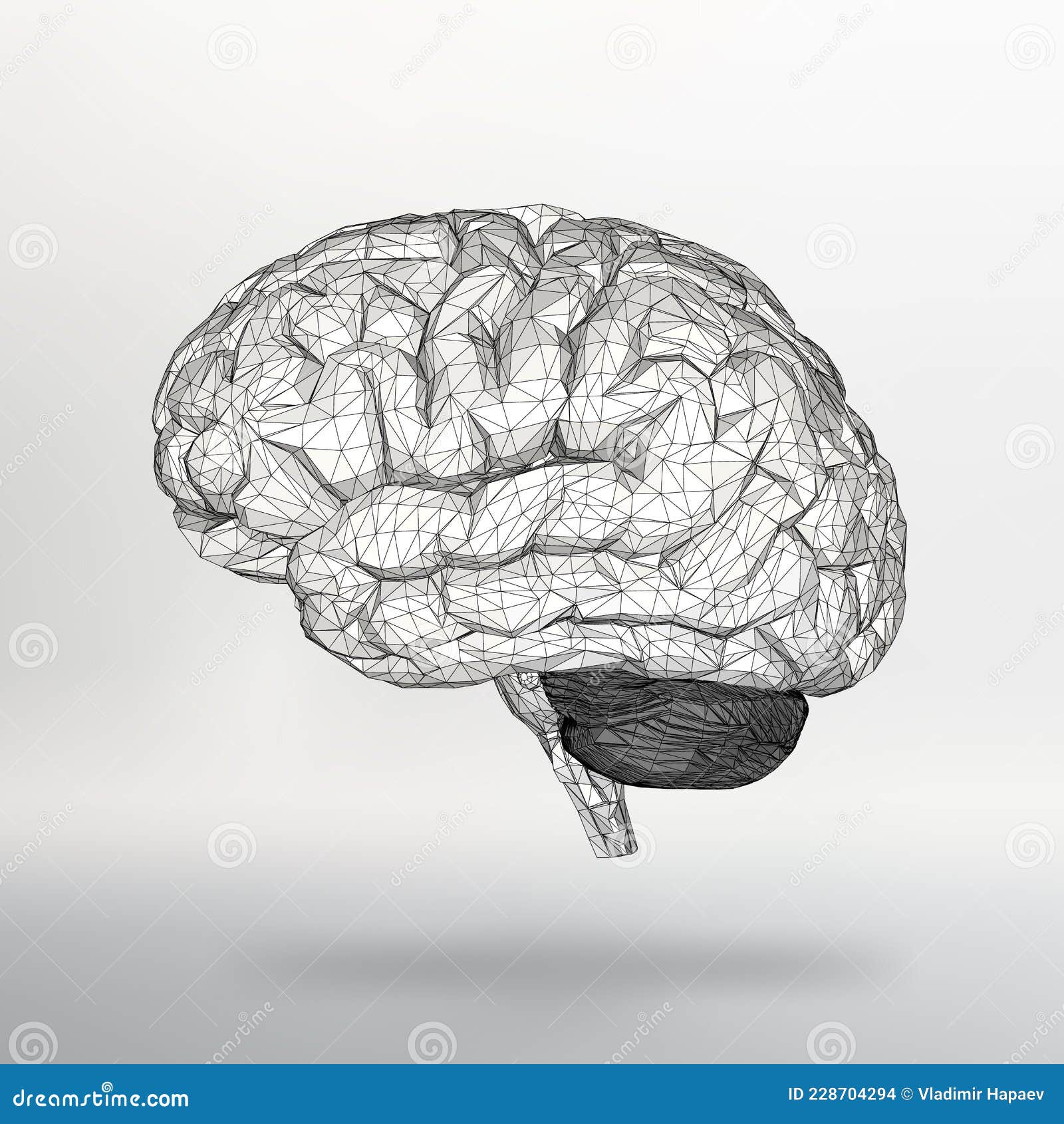 Vector Illustration Human Brain. the Structural Grid of Polygons Stock ...